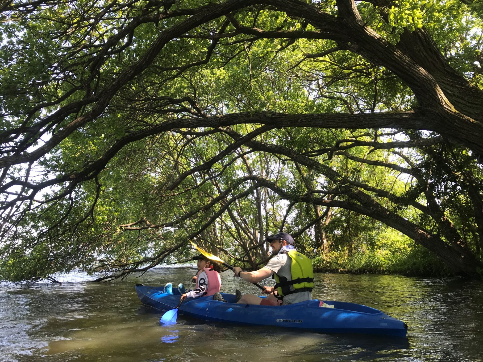 ツアー | activity